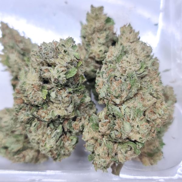 Buy PURPLE SPACE COOKIES BUDGET OUNCE $60/OZ | Weed On A Budget
