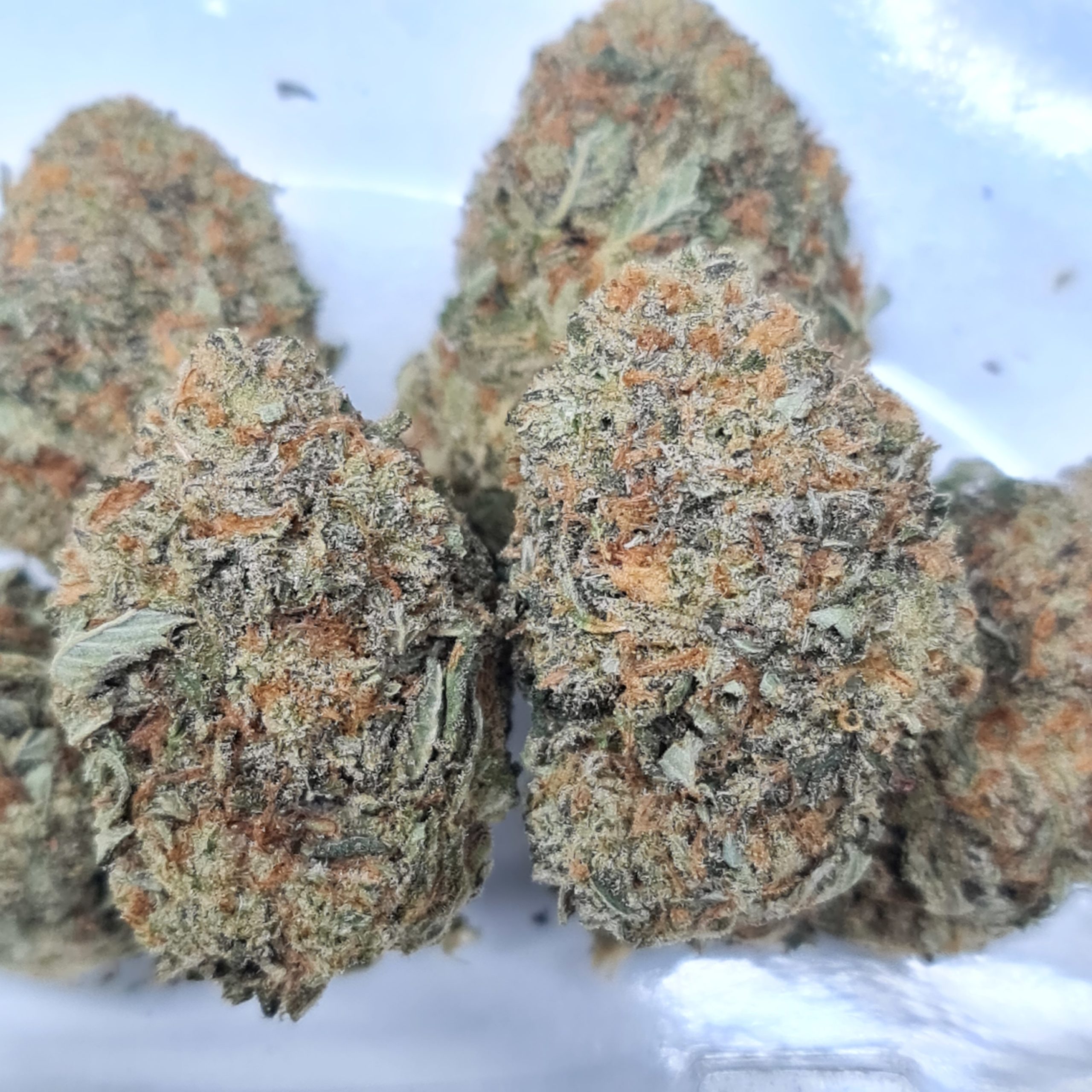 Buy PLATINUM FIRE OG BUDGET QUADS ***CLEARANCE SALE | Weed On A Budget