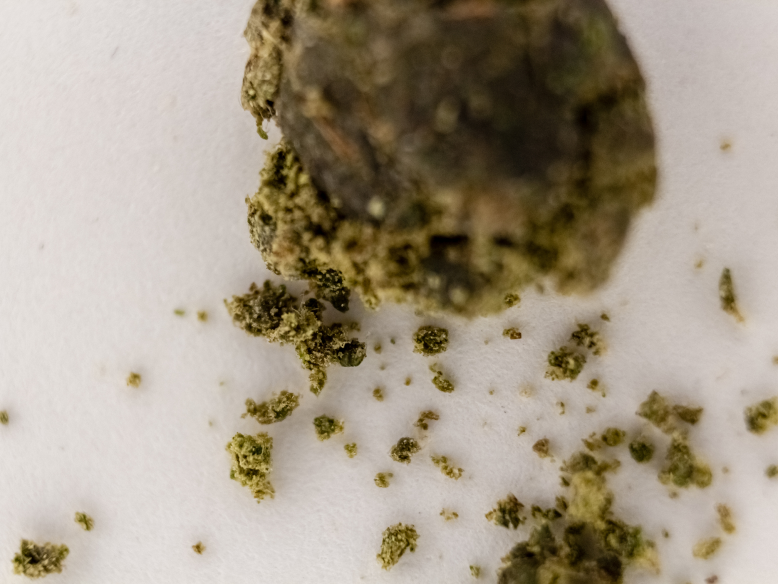 All About Cannabis Kief | Weed On A Budget