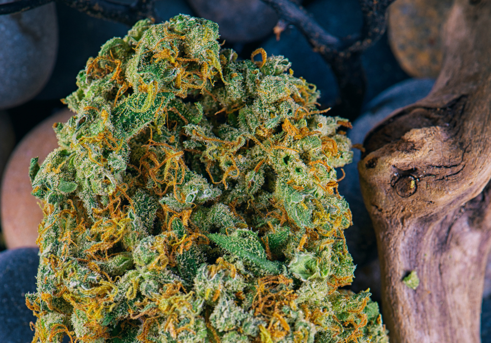 Top Budget-Friendly Cannabis Strains For August 2024 | Weed On A Budget