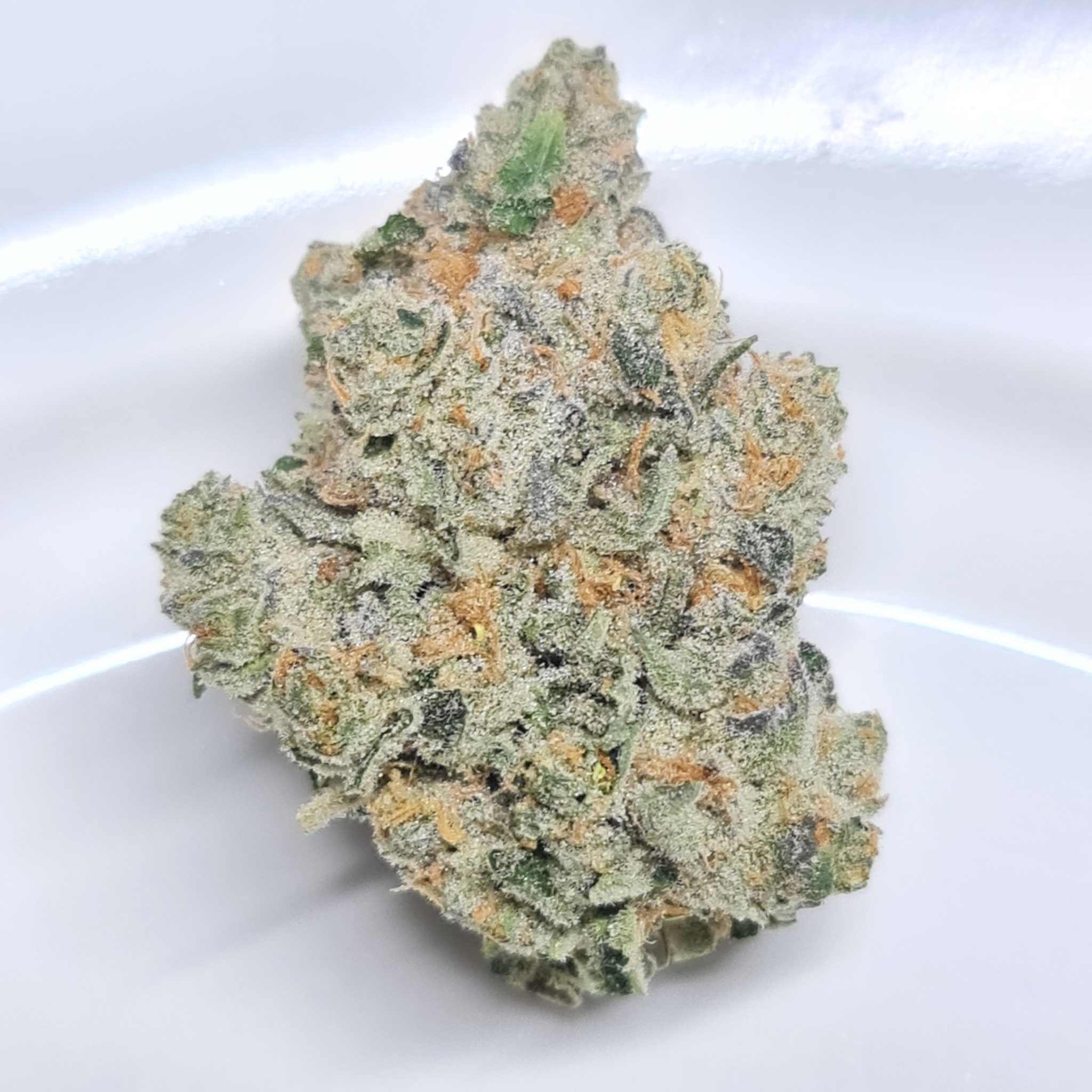 Buy KING SHERBET BUDGET QUADS $200/2OZ $120/OZ $70/HALF OZ | Weed On A ...