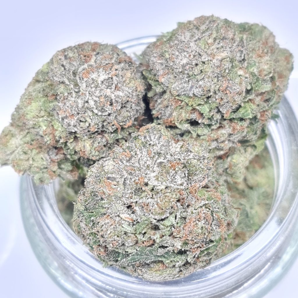 Buy PLATINUM KUSH BREATH BUDGET QUADS $180/2OZ $100/OZ $60/HALF OZ ...