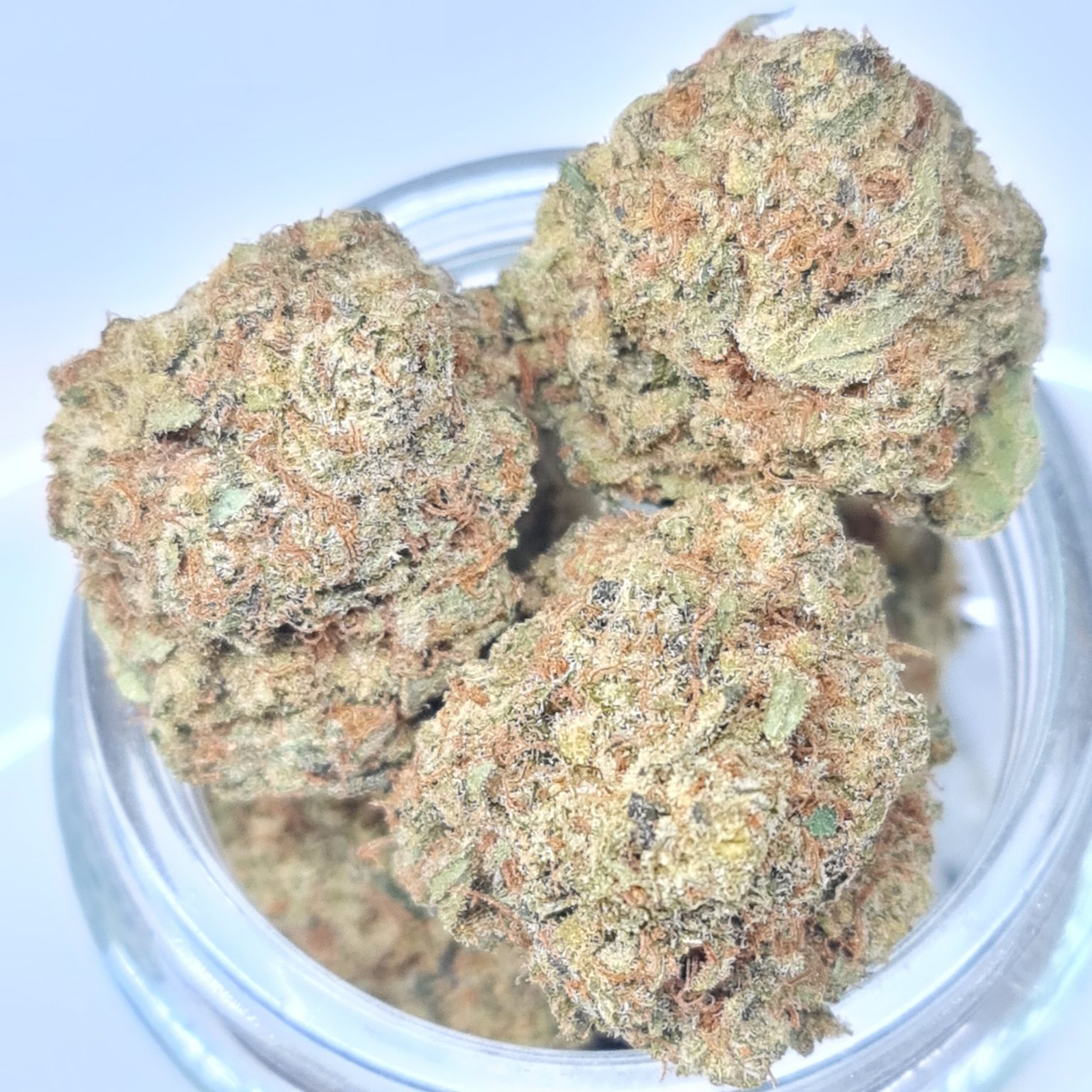 Shop Weed Online | Weed On A Budget | Canada