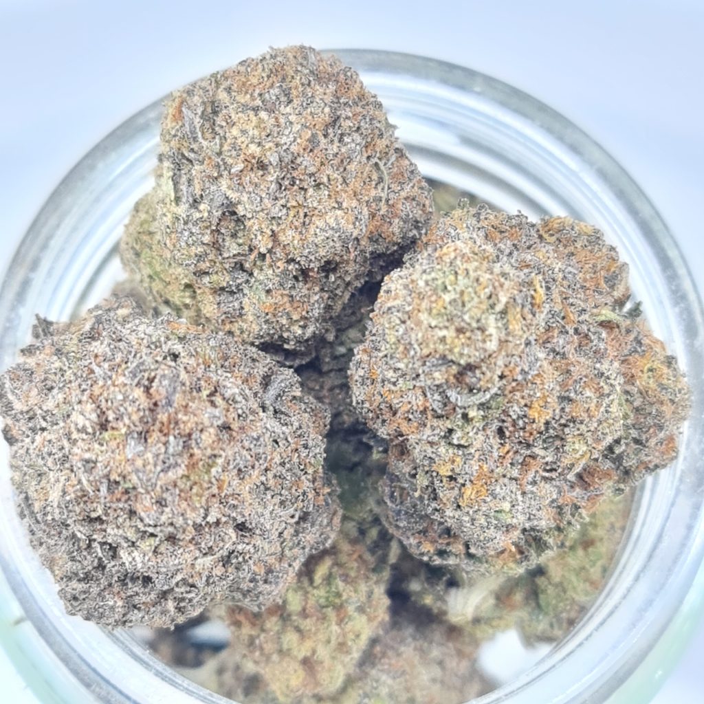 Buy GARLIC COOKIE BUDGET QUADS $200/2OZ $120/OZ $70/HALF OZ | Weed On A ...