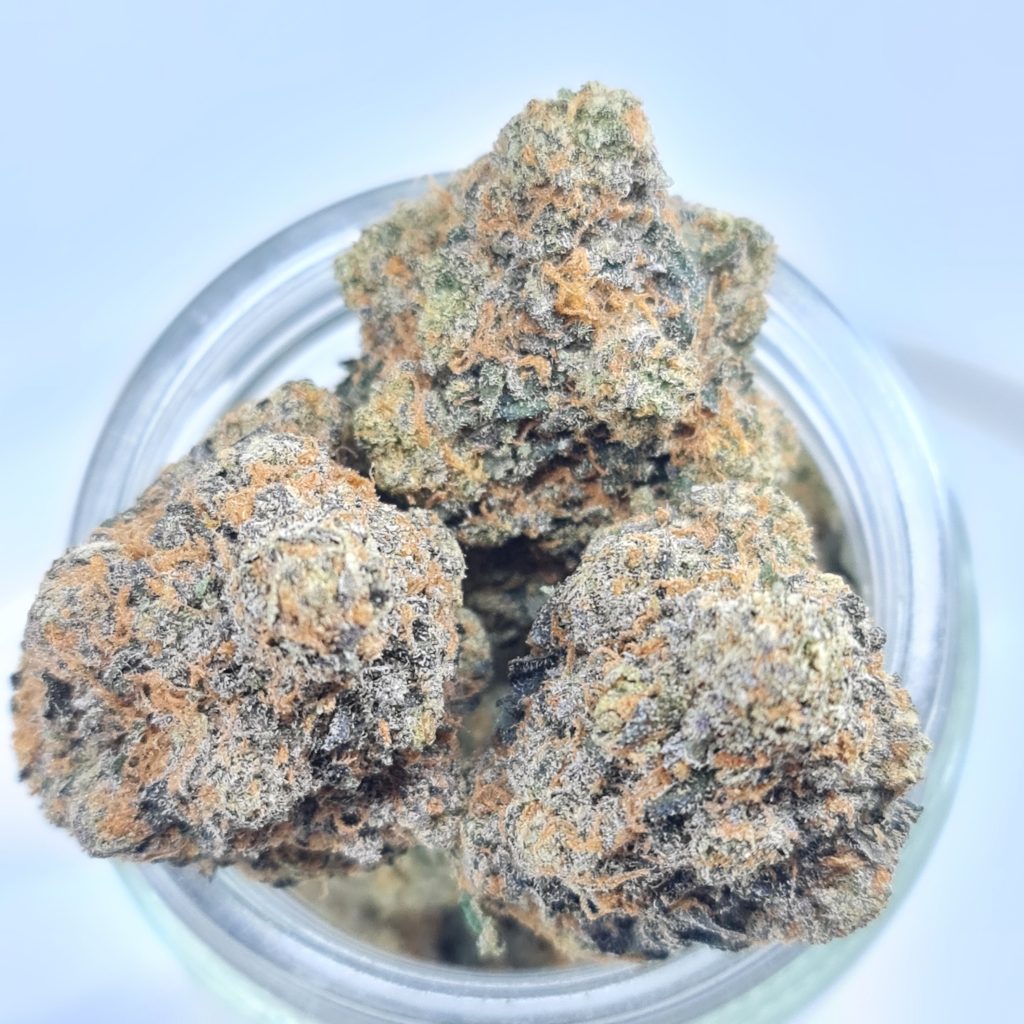 Buy MIMOSA BUDGET QUADS $180/2OZ $100/OZ $60/HALF OZ | Weed On A Budget